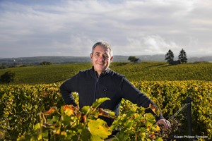 Domaine Eric Louis Aventura Wines