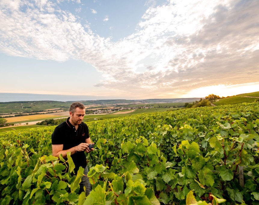 Champagne Xavier Leconte Aventura Wines