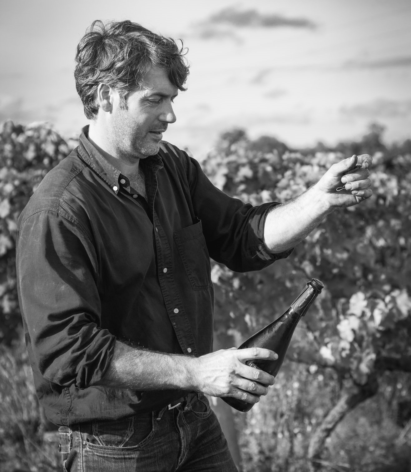 Domaine Arnaud Lambert Aventura Wines